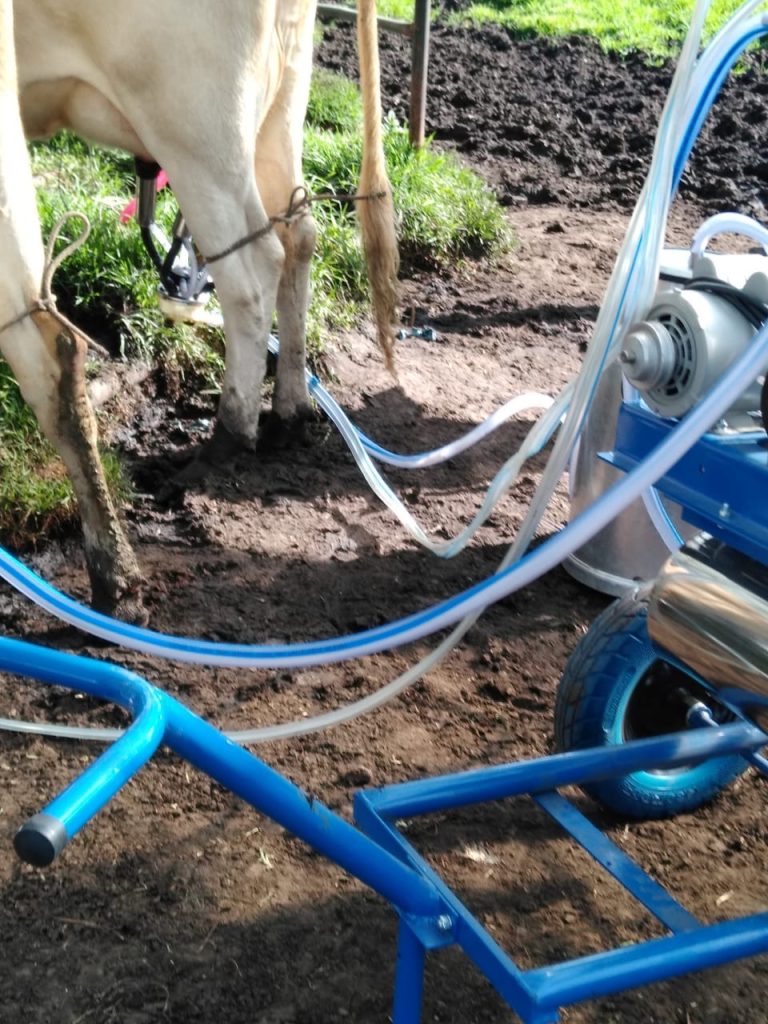 SUPERPULSE - Impulse Agro