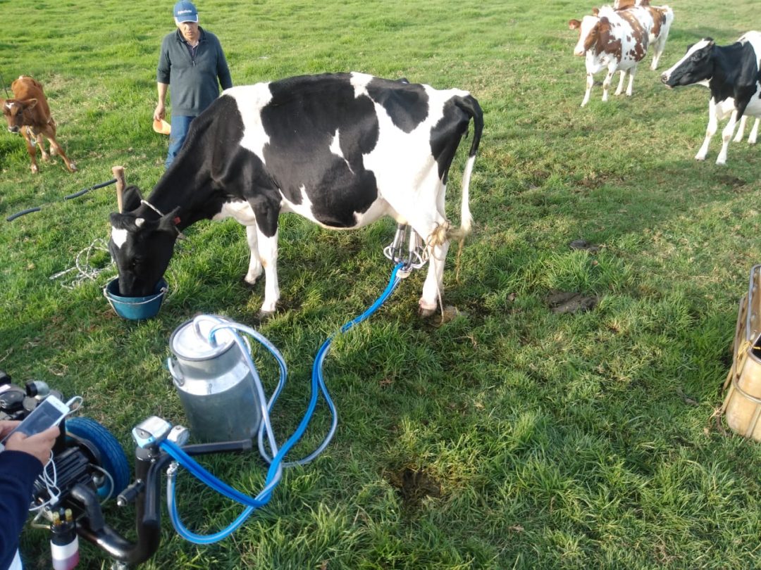 ECOPULSE - Impulse Agro