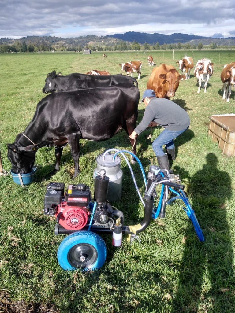 ECOPULSE - Impulse Agro