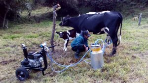 ECOPULSE - Impulse Agro