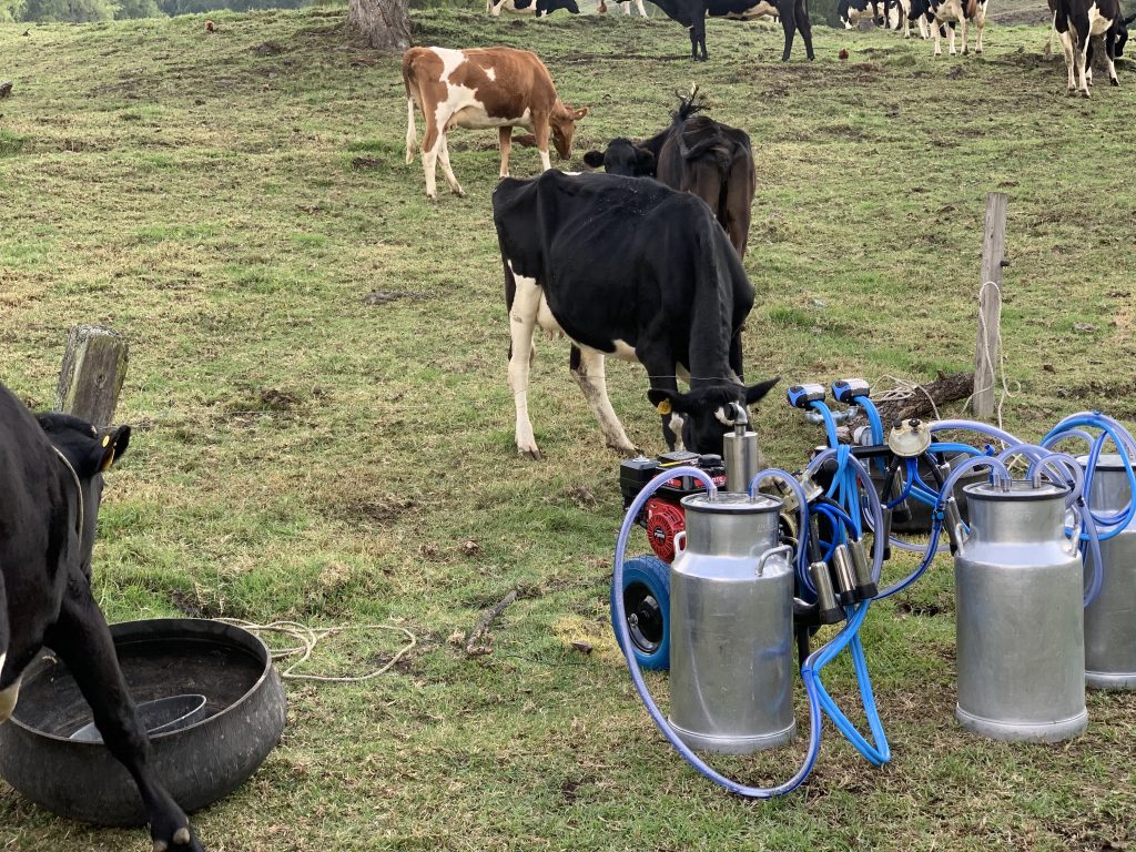 ECOPULSE - Impulse Agro