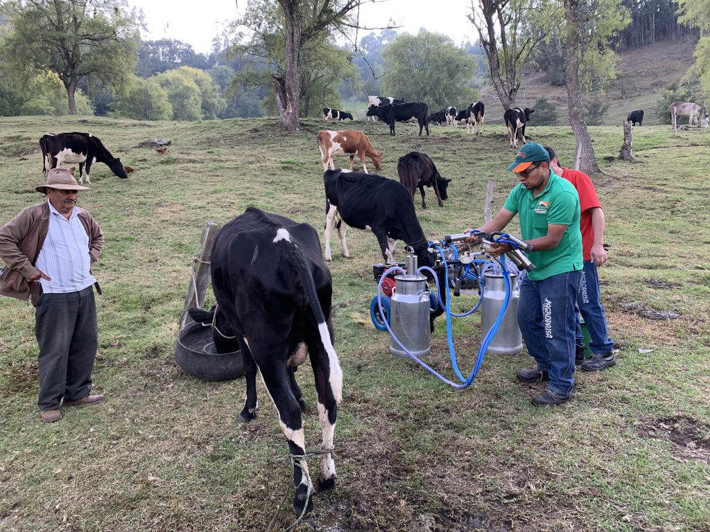 ECOPULSE - Impulse Agro