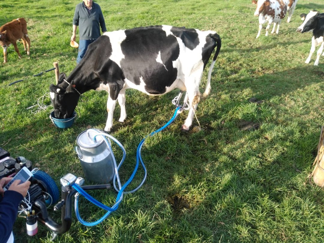 ECOPULSE - Impulse Agro