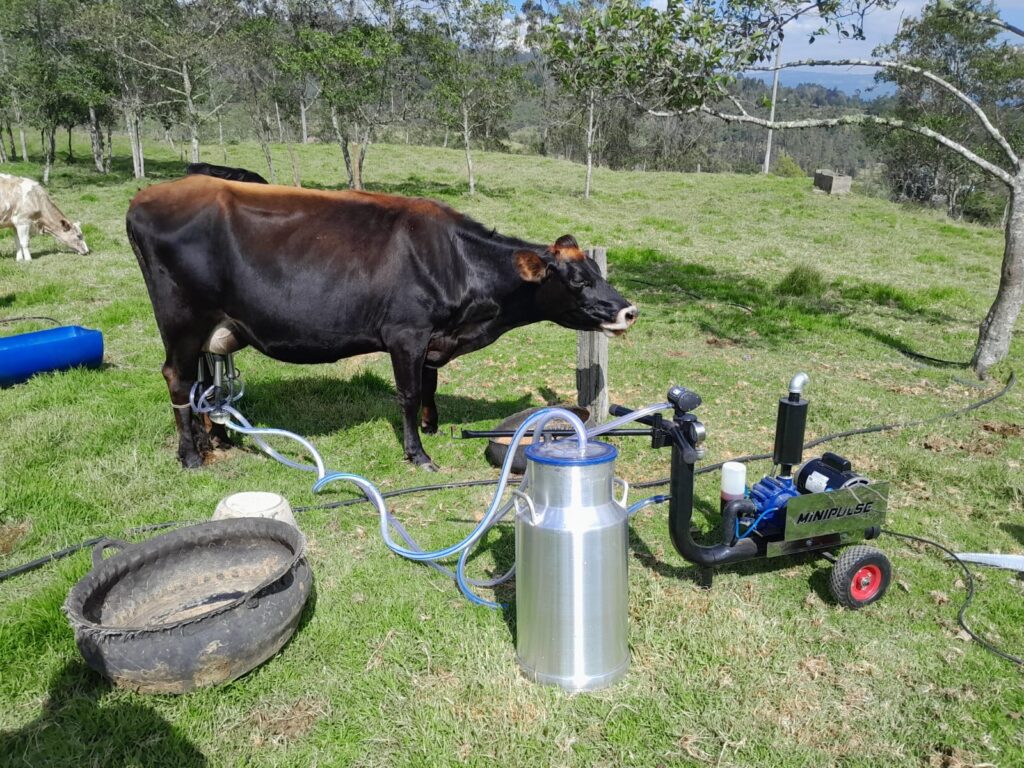 MINIPULSE - Impulse Agro